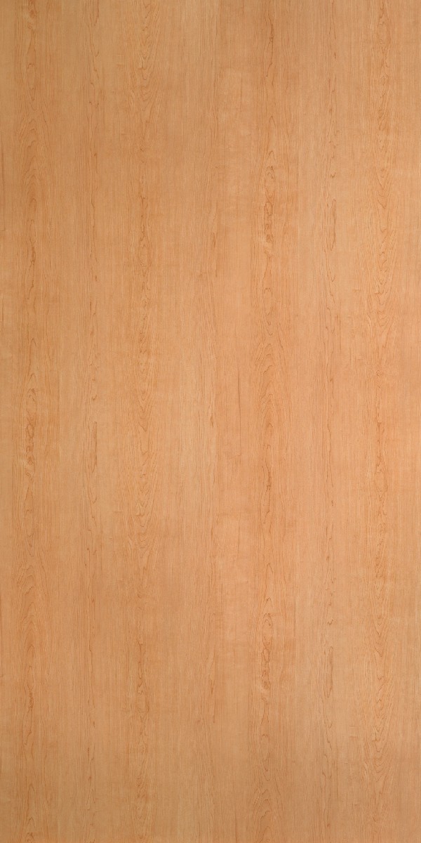 LiveLife | Hill Top Maple